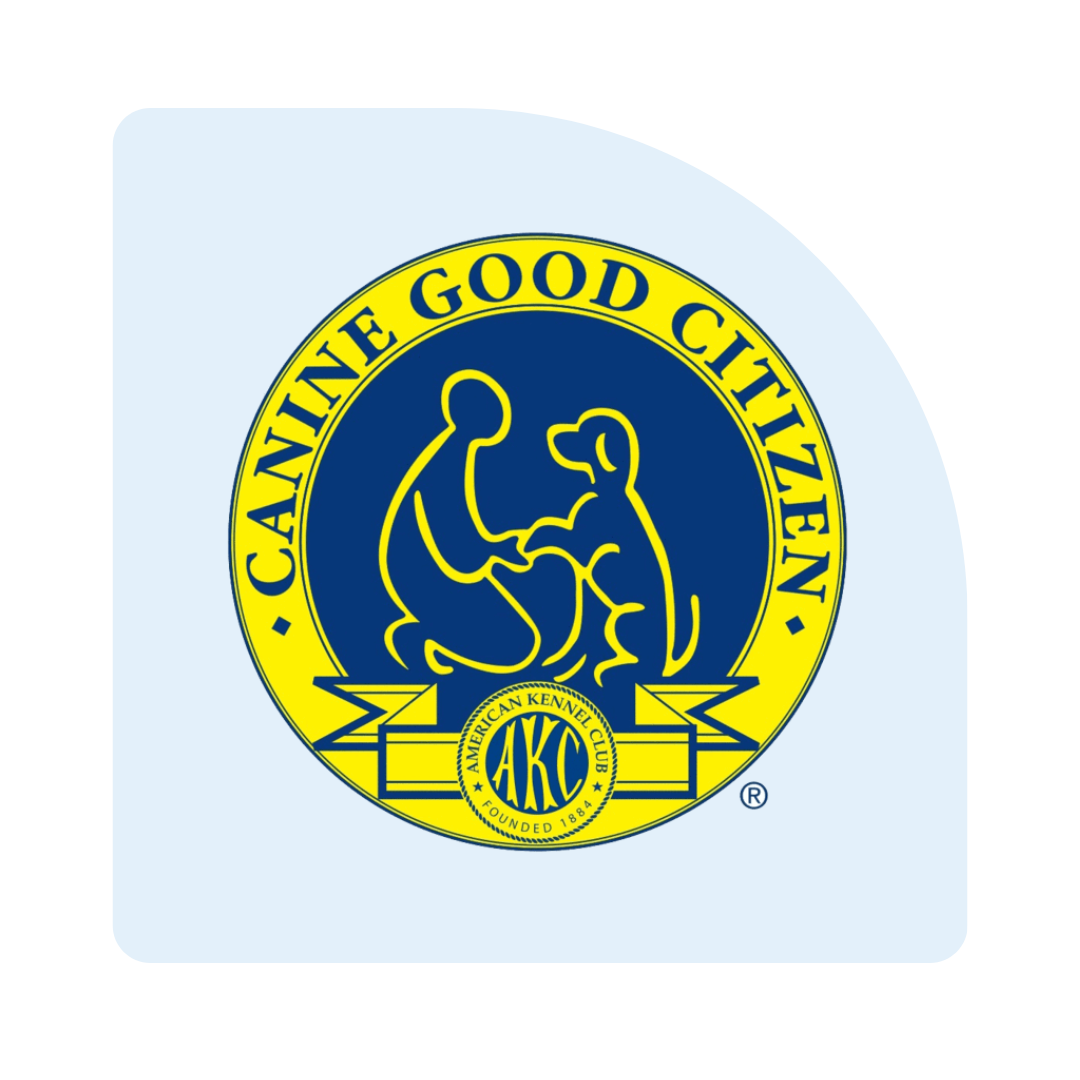 Canine Good Citizen Prep Class Begins – Four Leggers Pet Supplies ...